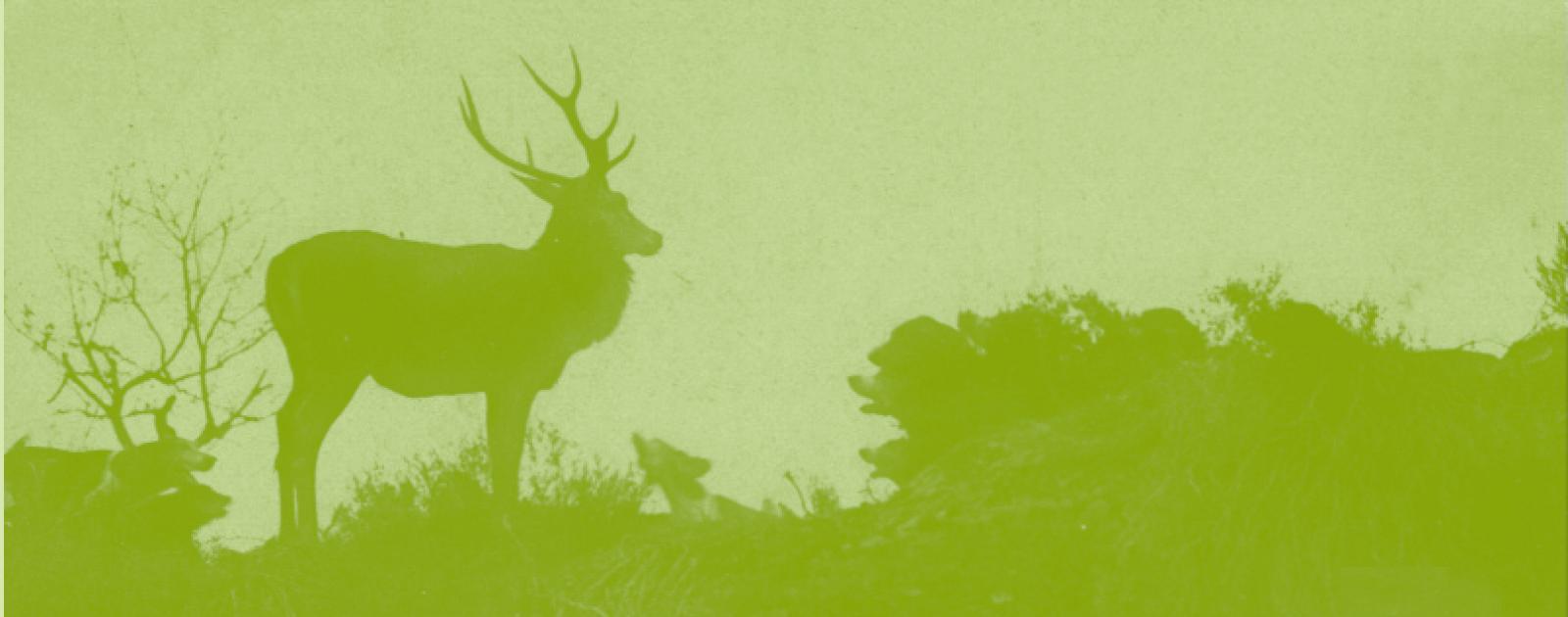 Nouveau dossier pédagogique en ligne "La forêt de Fontainebleau depuis ...